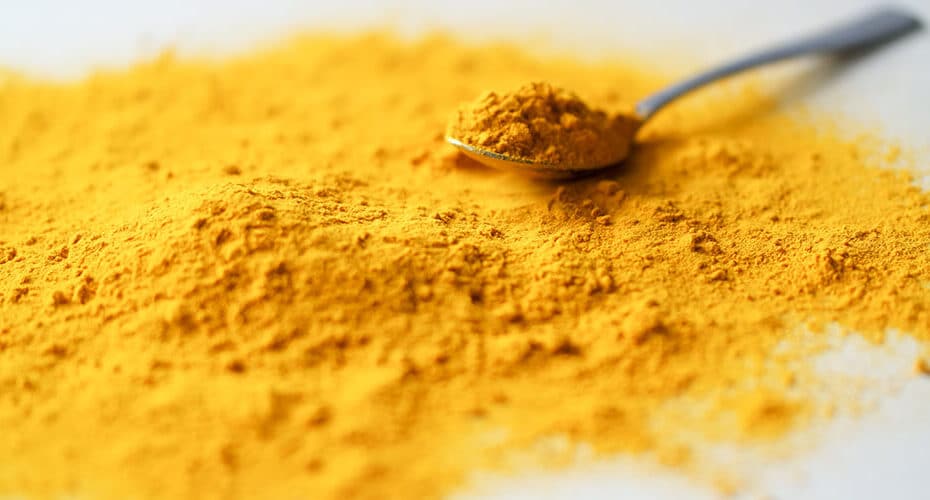 10 Appunti Fondamentali sui benefit from the fungo cordyceps sinensis – HIFAS DA TERRA